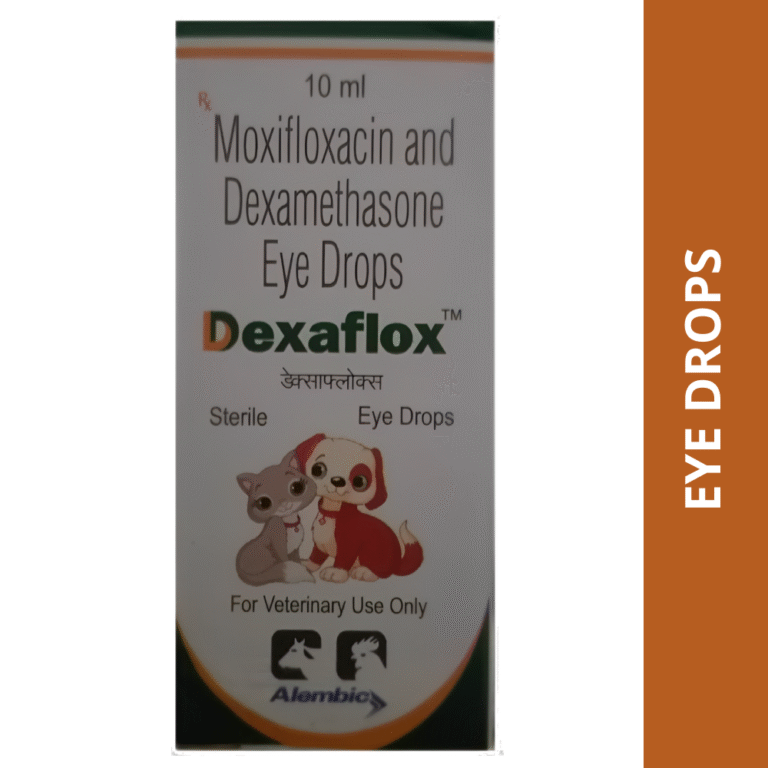 Alembic Dexaflox (Moxifloxacin & Dexamethasone) Eye Drops for Dogs and ...